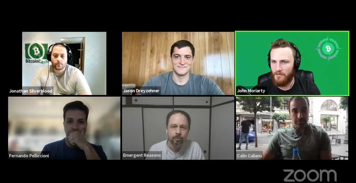 BCH Network Discussion: Introspection